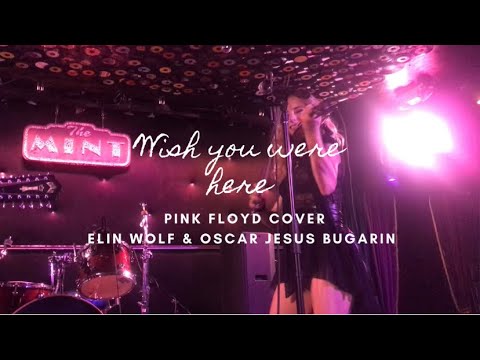 Hire Elin Wolf - Violinist in Los Angeles, CA | GigSalad