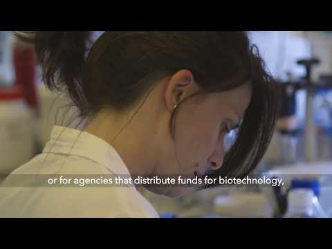 Biotechnology and Medical Biology - UniSR