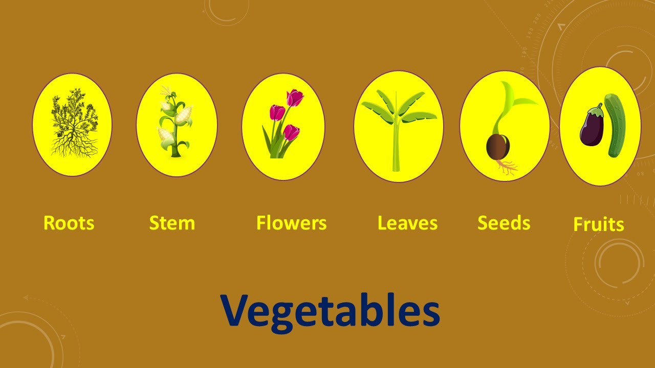 What Vegetable Is Also A Flower Life Set Go what-vegetable-is-also-a-flower-life-set-go