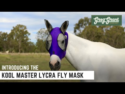 Introducing the Kool Master Lycra Fly Mask - Greg Grant Saddlery