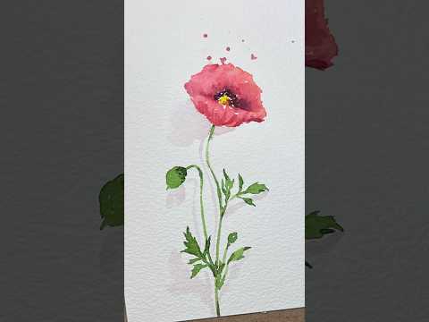 simple poppy flower painting watercolour #watercolor #painting #poppy