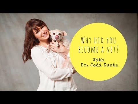 Why Did You Become A Vet?