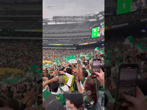 Torcida do Palmeiras, hoje (15), em jogo diante do Porto na Copa do Mundo de Clubes.