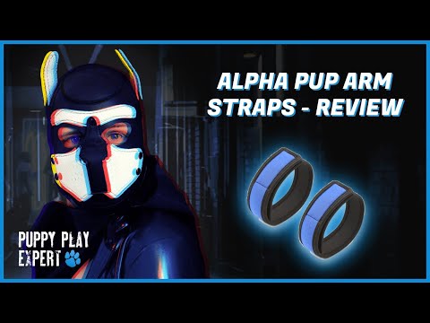 Puppy Play Expert: Alpha Pup Arm Straps Review
