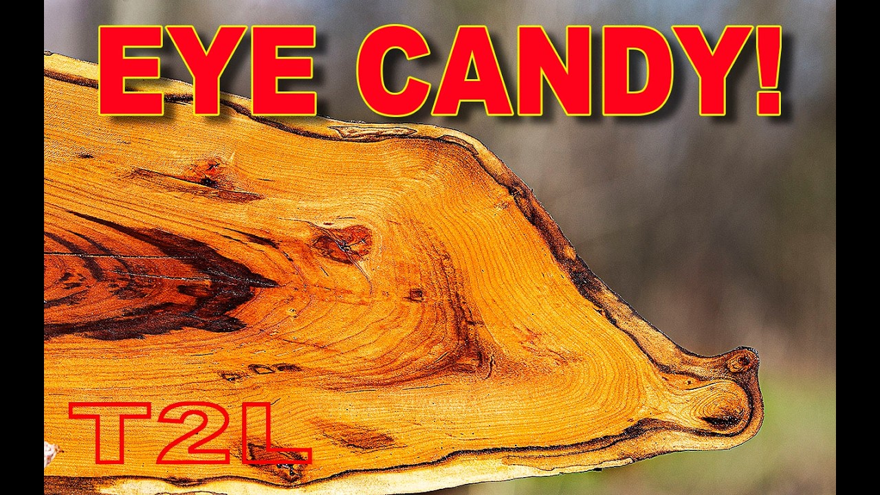 What Makes Black Cherry so Magical?