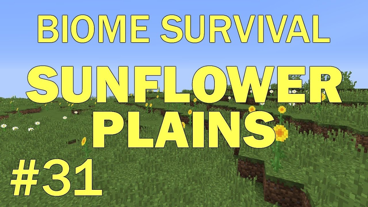 Minecraft Biome Survival #31: Sunflower Plains