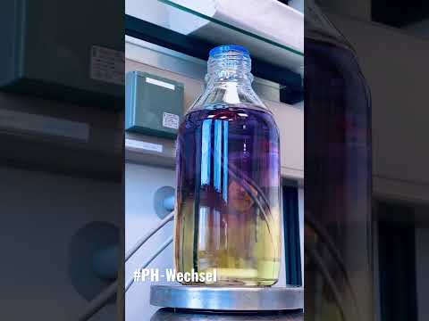 PH-Wechsel mit Bromocresol #Purple