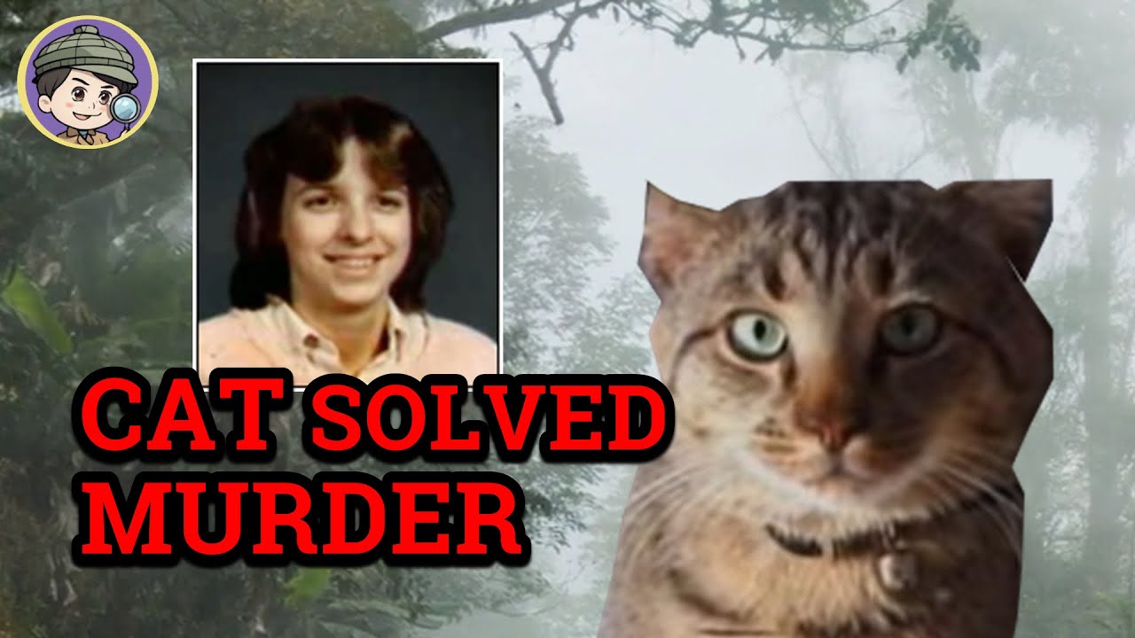 Cat solved owner's daughter’s murder (CC Available) | Jean Wu