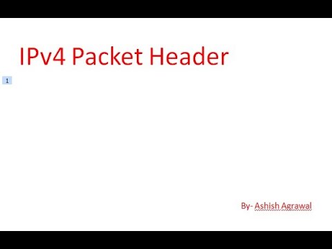 IPv4 Packet Header