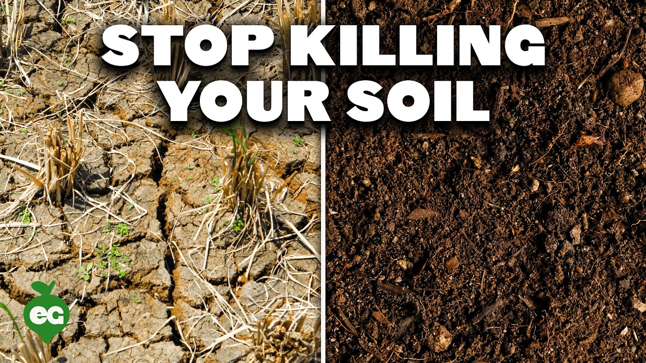 9 Proven Ways to Boost Your Soil Health