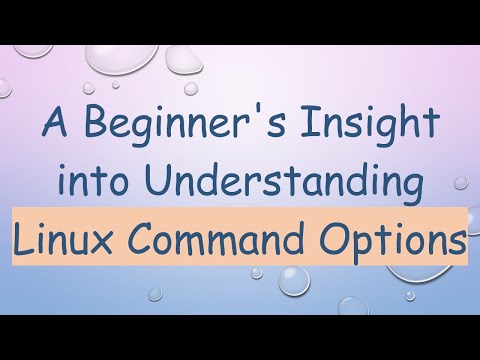 A Beginner's Insight into Understanding Linux Command Options
