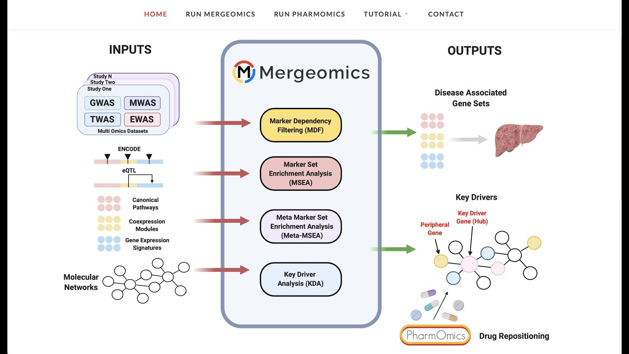 Mergeomics Web Server Tutorial