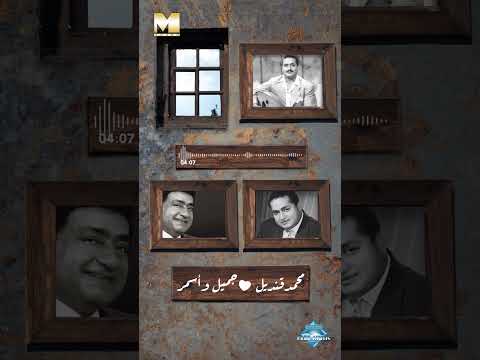 جميل وأسمر لكن قاسي .. بيسقيني مرار كاسي