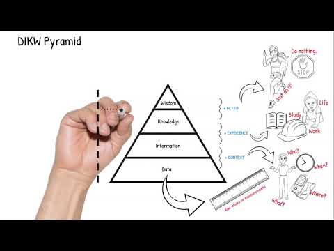 Developing Understanding using the DIKW Pyramid