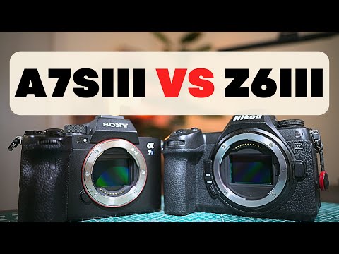 Nikon Z6 III vs Sony A7S III (footage comparison)