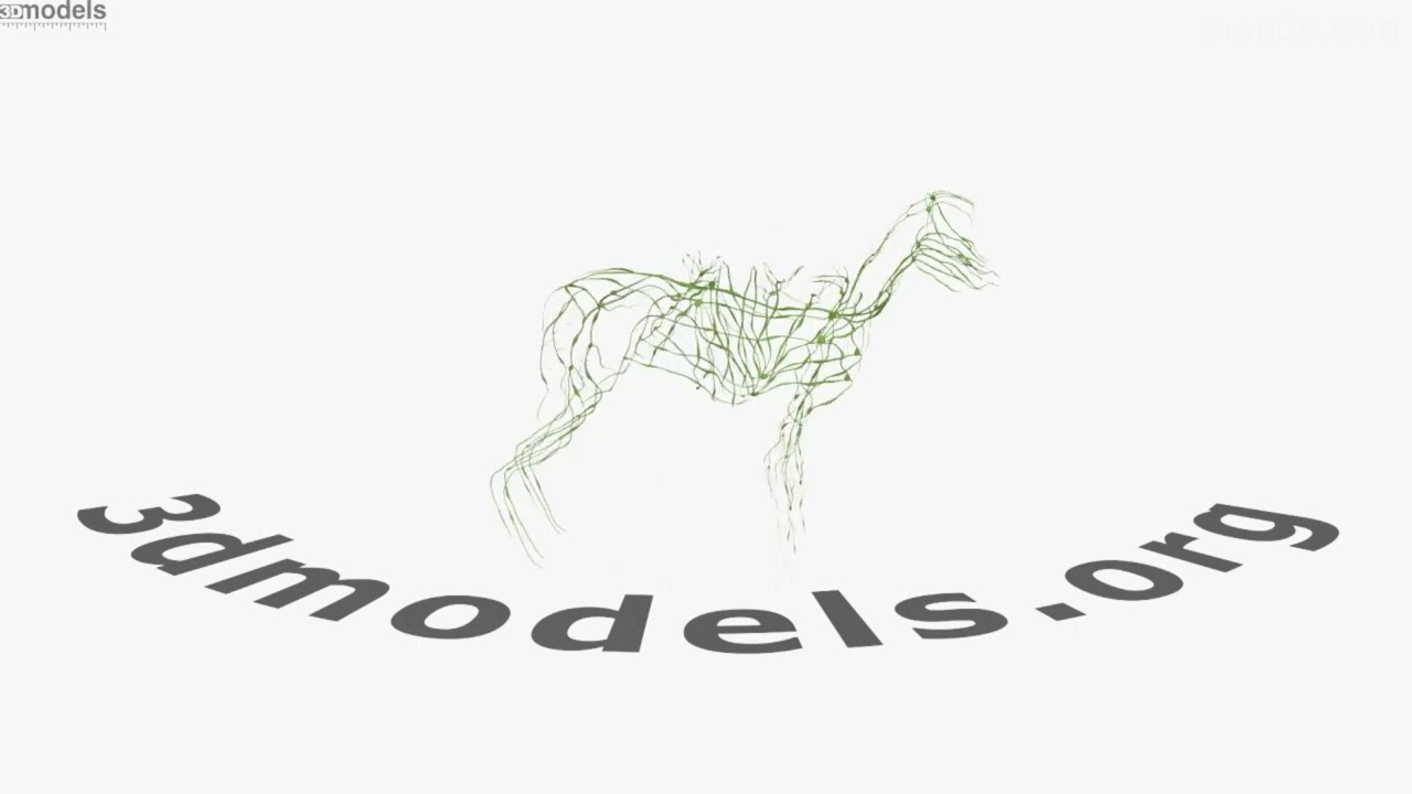 Cat Lymphatic System 3D model by 3DModels.org