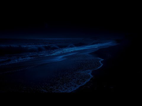 Instantly Deep Sleep with Ocean Sounds at Night | Reduce Stress and Sleep Relaxation with Ocean Wave