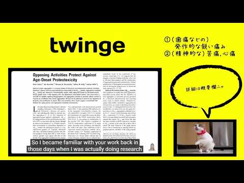 英検1級【過去問】1000単語 Twinge