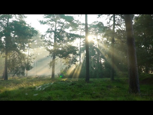 Home - LOOV ’t Gooische Buiten nieuwbouw Overgooi Almere