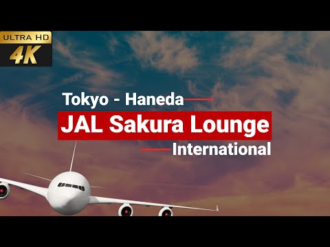 [4k] Japan Airlines Sakura Lounge Haneda Tokyo Airport | Japan airline Business Lounge