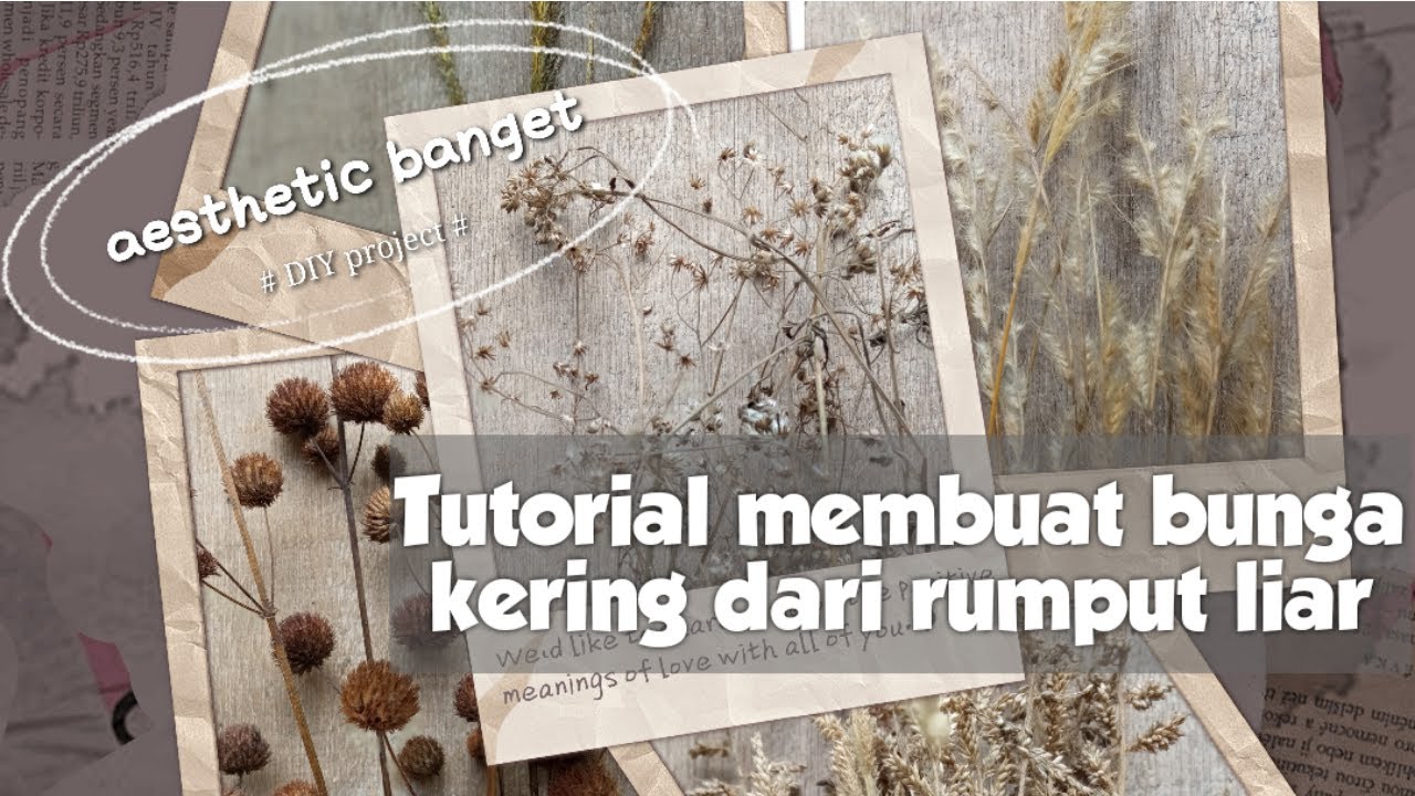Tutorial membuat bunga kering dari rumput liar