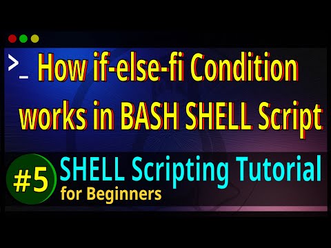 05 | How if-else-elif-fi Condition Works in BASH SHELL Script