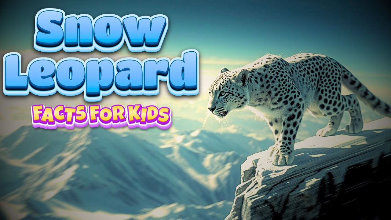 MIND-BLOWING Snow Leopard Facts For Kids