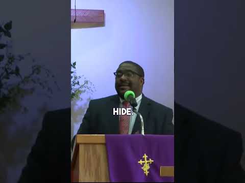 The Symbolism of the Donkey in Jesus' Entry