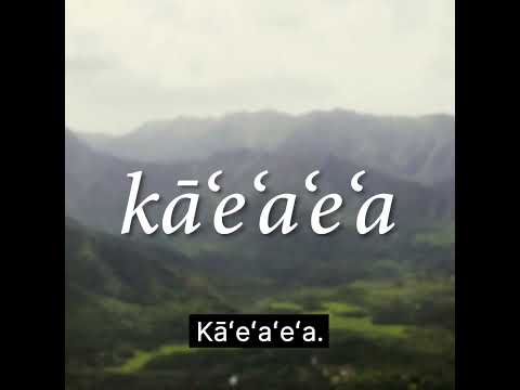 Hawaiian Word of the Week: Kāʻeʻaʻeʻa