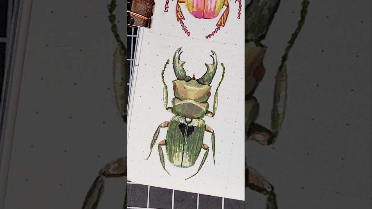 What kind of beetle is this? 🪲  I have no clue. #beetle #art