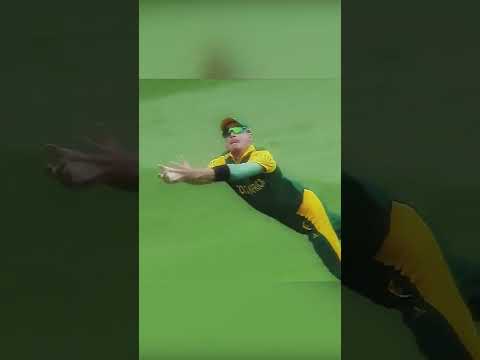 Live Cricket Score App 2023