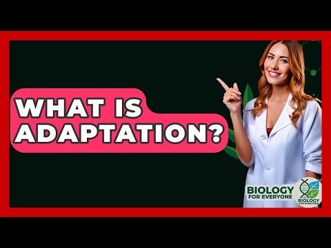 What Is Adaptation? - Biology For Everyone