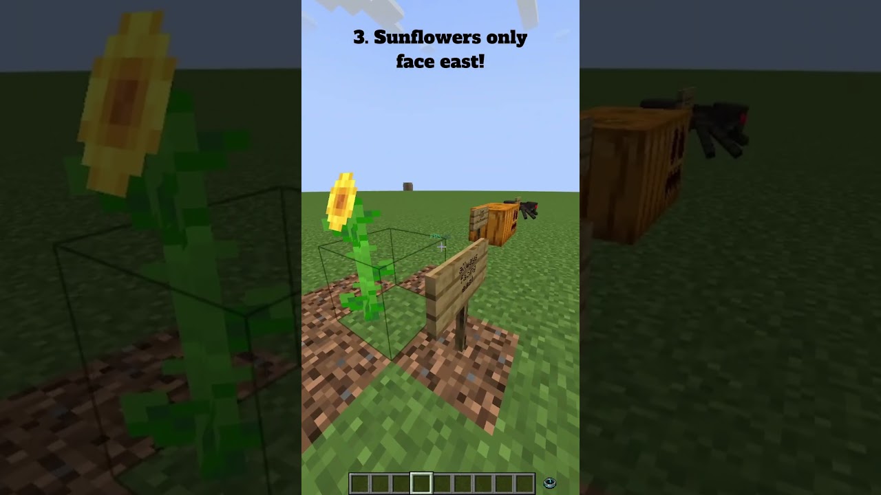 Things YOU can't unsee in Minecraft🎮 - Like and Sub! | github.com/raccraft