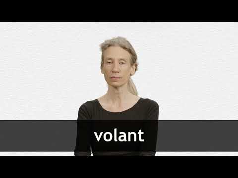 English Translation of “VOLANT” | Collins French-English Dictionary