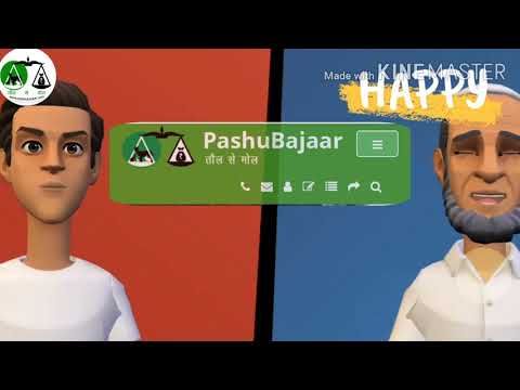 Totapari Goat - Wholesale Price & Mandi Rate for Tota Pari Goat