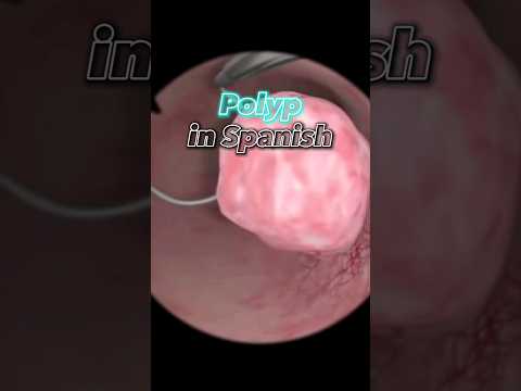POLYP in SPANISH | Work Vocabulary - Medical Interpreter Training