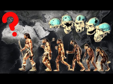 Did Humans Evolve Big Brains Before Leaving Africa?