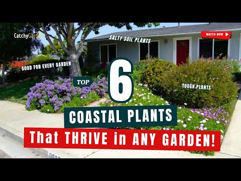 TOP 6 COASTAL PLANTS 🌿 That THRIVE in ANY GARDEN! 🏡🌊 // Gardening Ideas