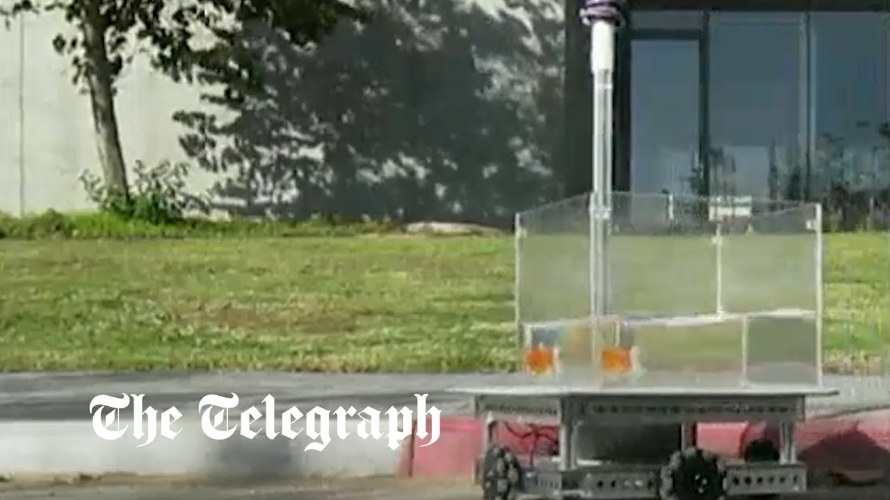 Watch: Goldfish can drive a car ... (as long as the tank isn’t empty)