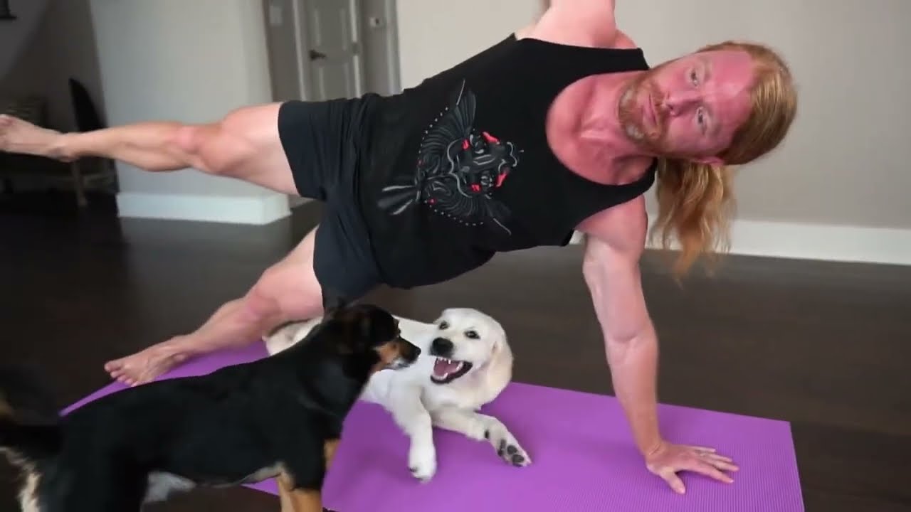Cats and dogs interrupting their owners while exercising