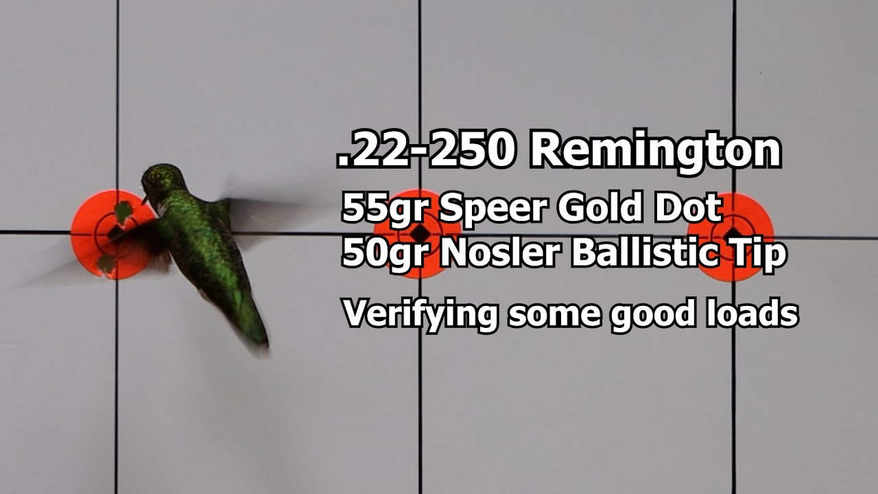 .22-250 Rem - Verifying my best loads with the 55gr Gold Dot and 50gr Ballistic Tip