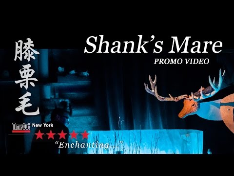 Shank's Mare Promo Video