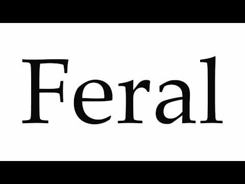 How to Pronounce Feral