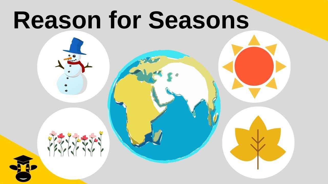 Why do we have winter-spring-summer-fall?