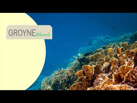 GROYNE | Dictionary| Thesaurus| Vocabulary| Synonyms|Word| Meaning| English| Language|