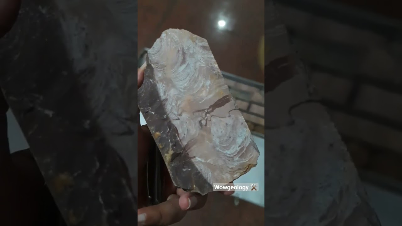 what happens to limestone #experiment #explore #facts #ytshorts #geology #limestone #stromatolitic
