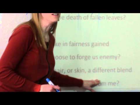 Beginning Poetry Scansion Jan 8.mp4