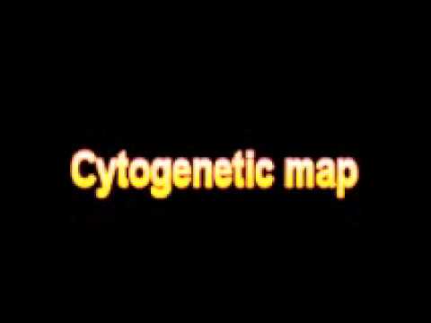 What Is The Definition Of Cytogenetic map - Medical Dictionary Free Online