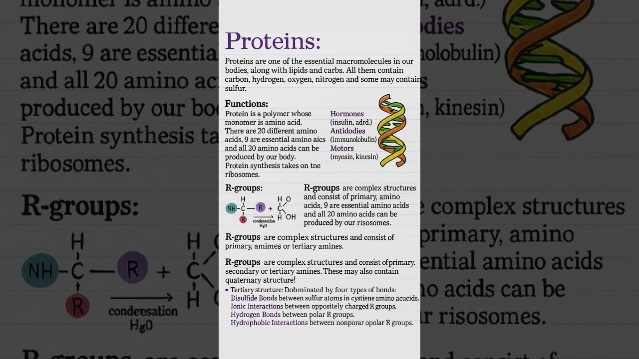 protein biochemistry[structure of protein]