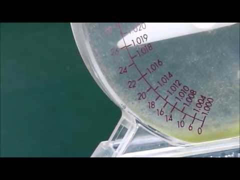 Salinity In the Marine Aquarium